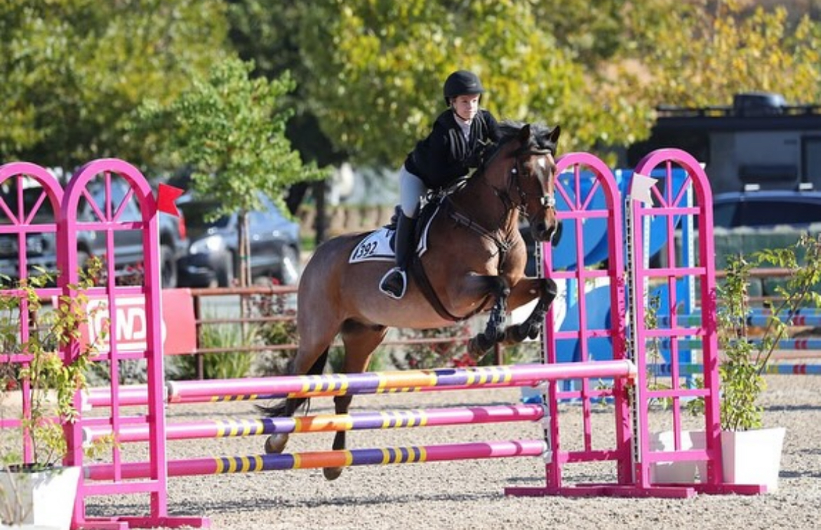 Elmo Other Breed Jumper
