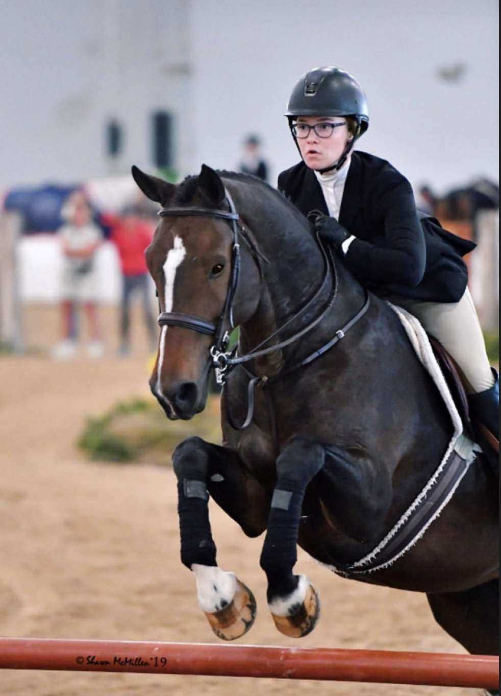 Florian Dutch Warmblood Jumper