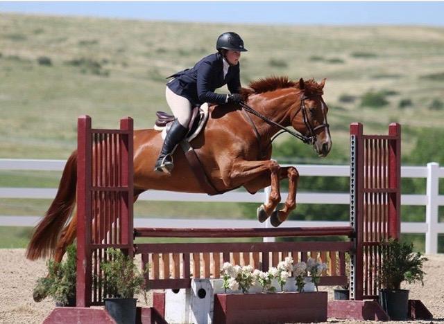 BMQ Legacy of Roses Appendix Equitation