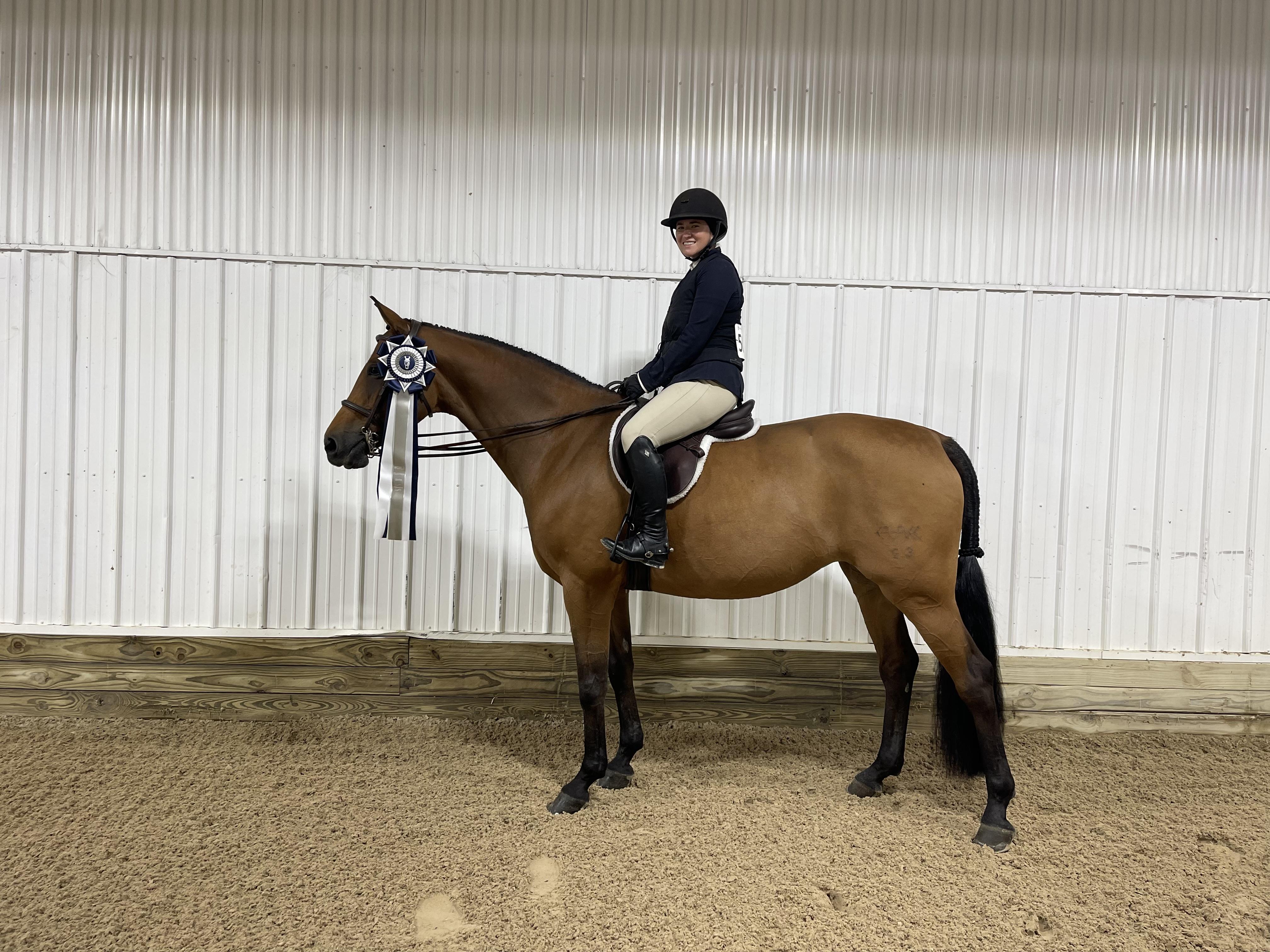 Magnolia Danish Warmblood Hunter