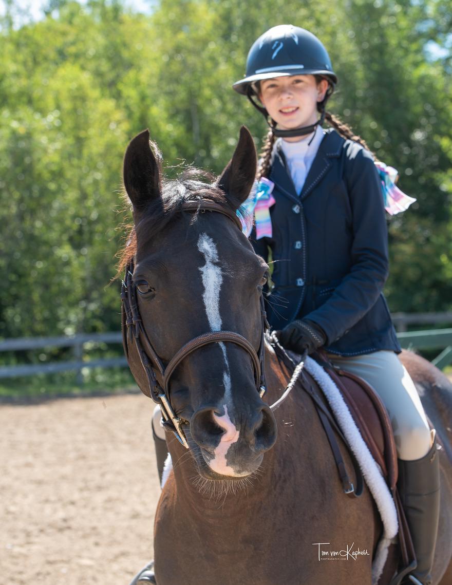 Sunset's fade to black Welsh Pony Hunter