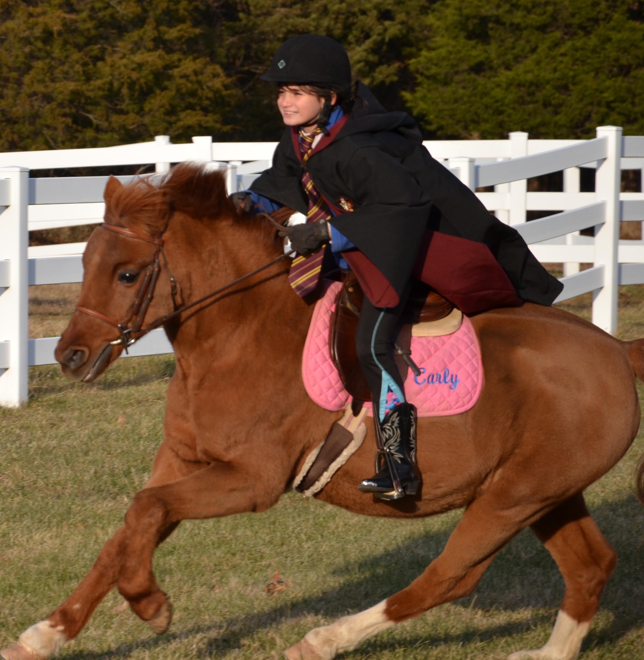 Clifford Welsh Pony