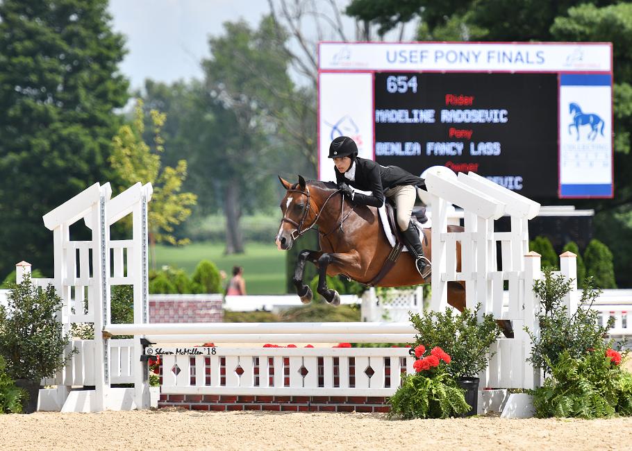 Benlea Fancy Lass Welsh Pony Hunter