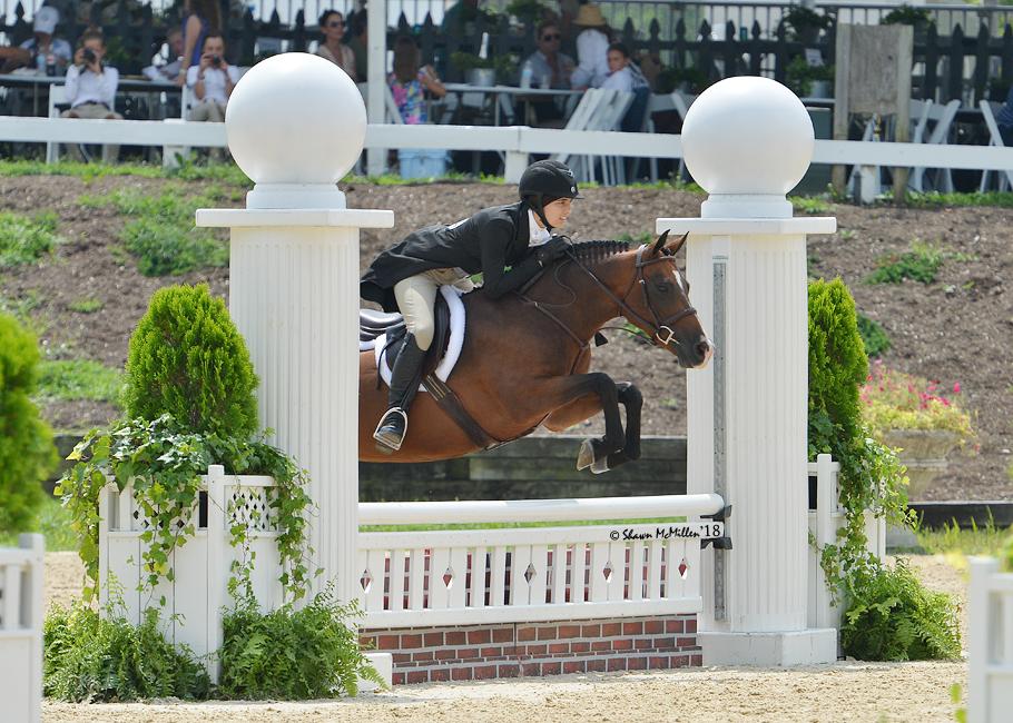 Benlea Fancy Lass Welsh Pony Hunter