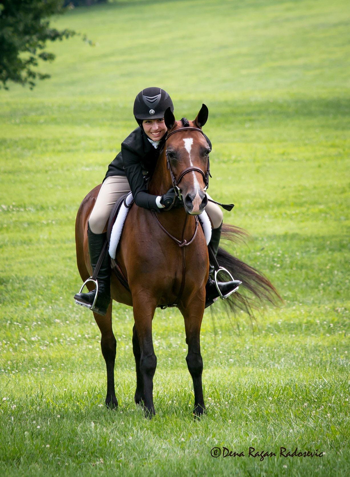 Benlea Fancy Lass Welsh Pony Hunter
