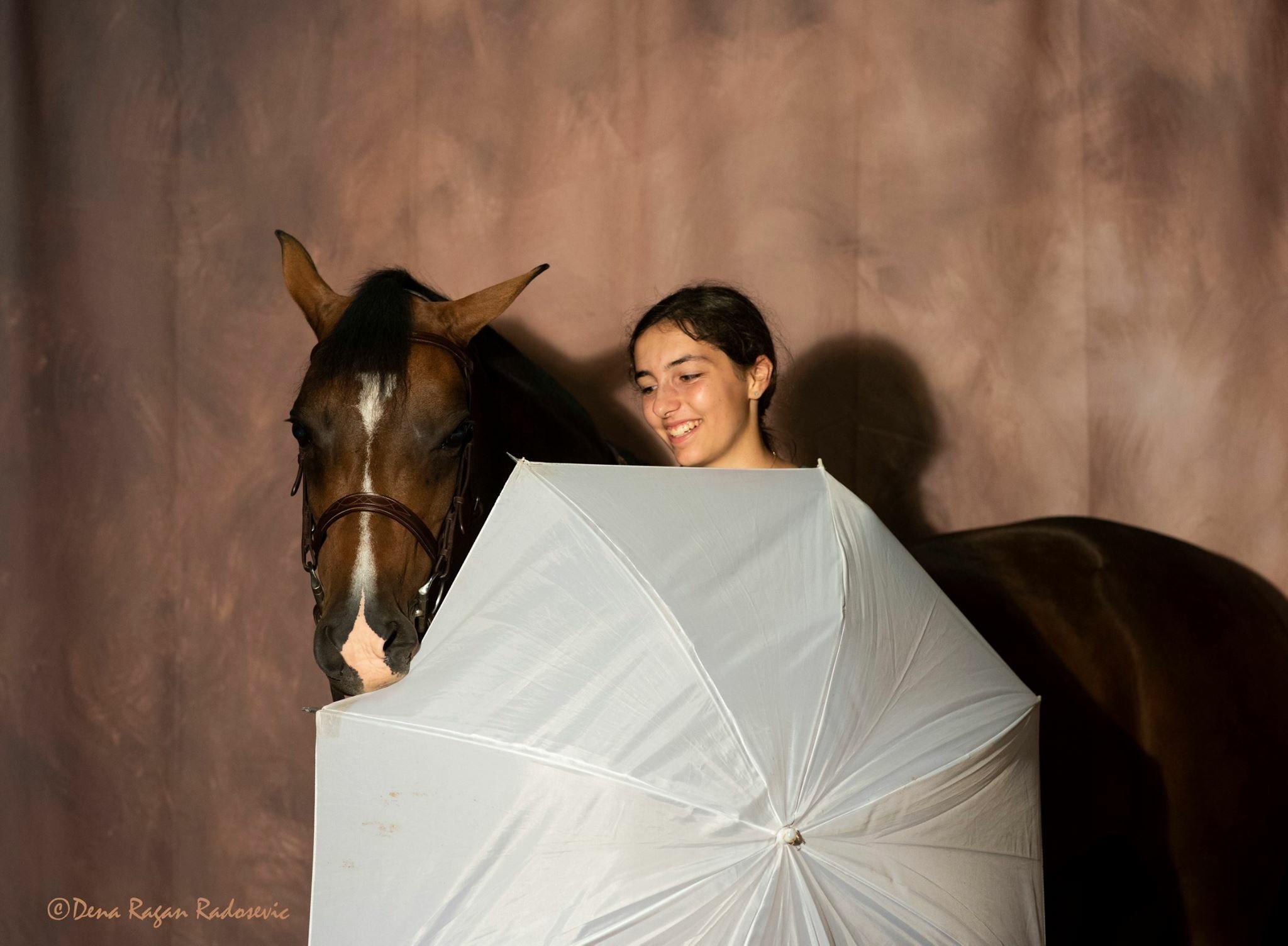 Benlea Fancy Lass Welsh Pony Hunter