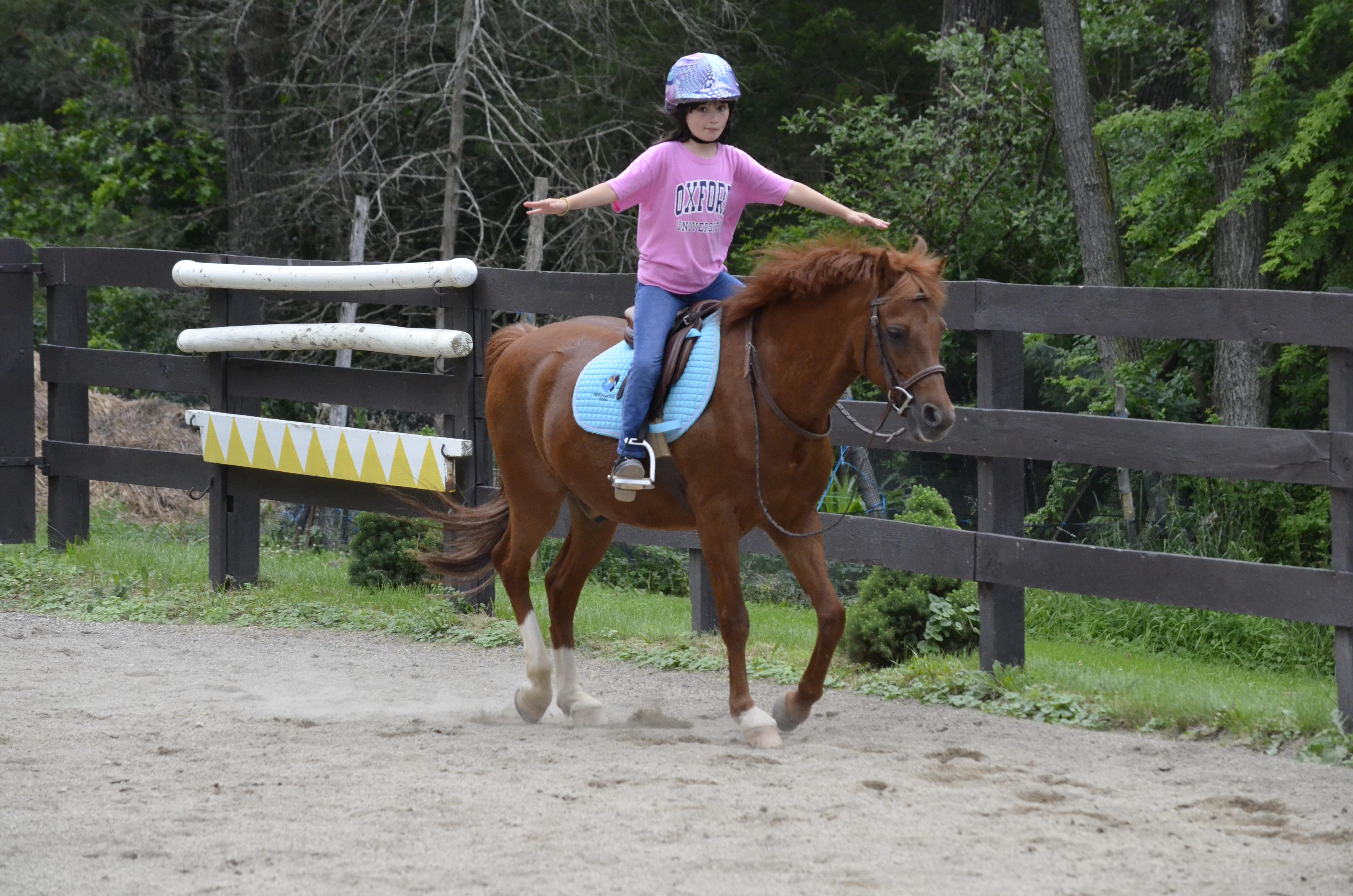 Clifford Welsh Pony