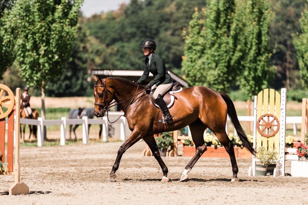 The Appendix ||Breed Series | Equestrian Amino