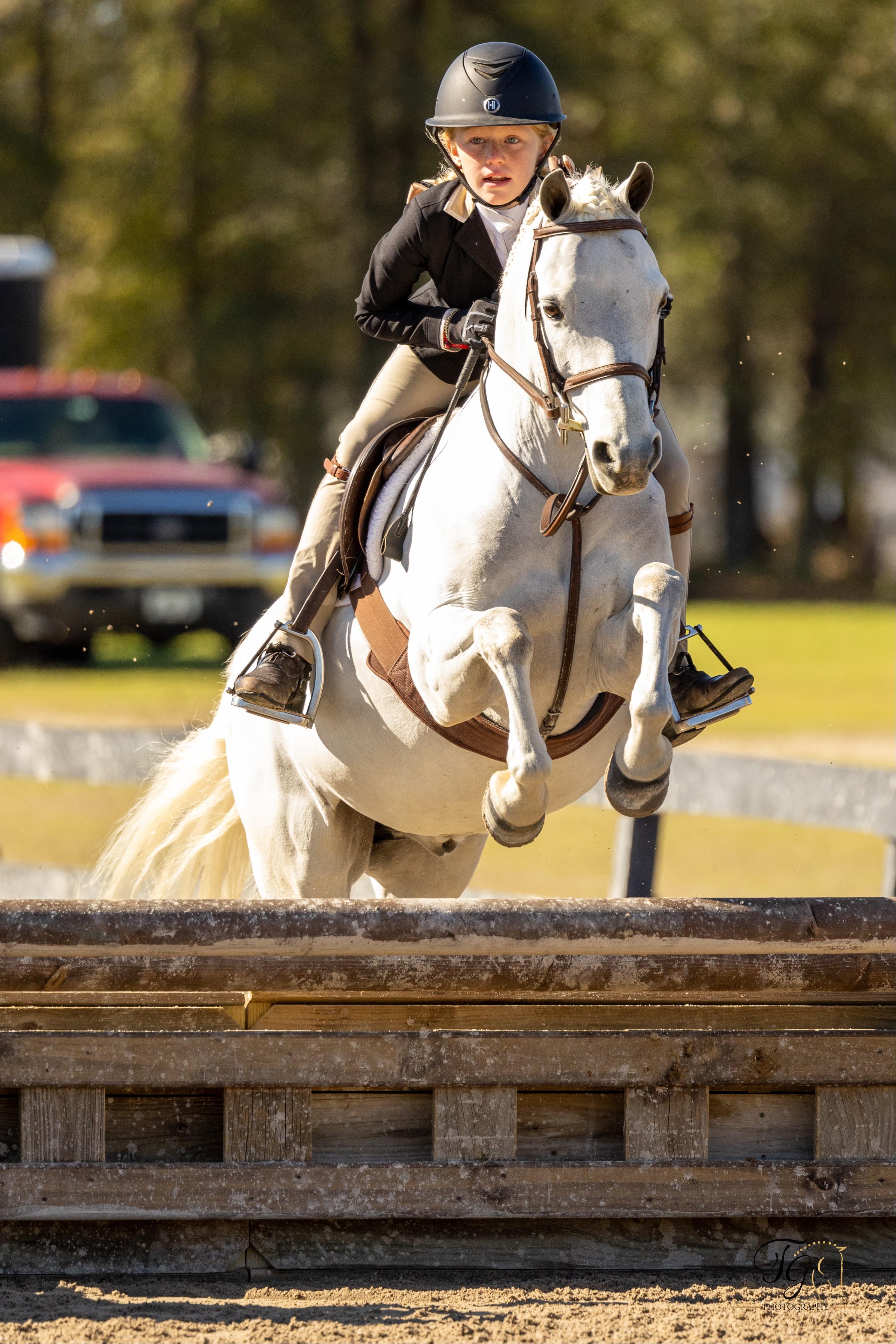 May-B Tango Welsh Pony Hunter