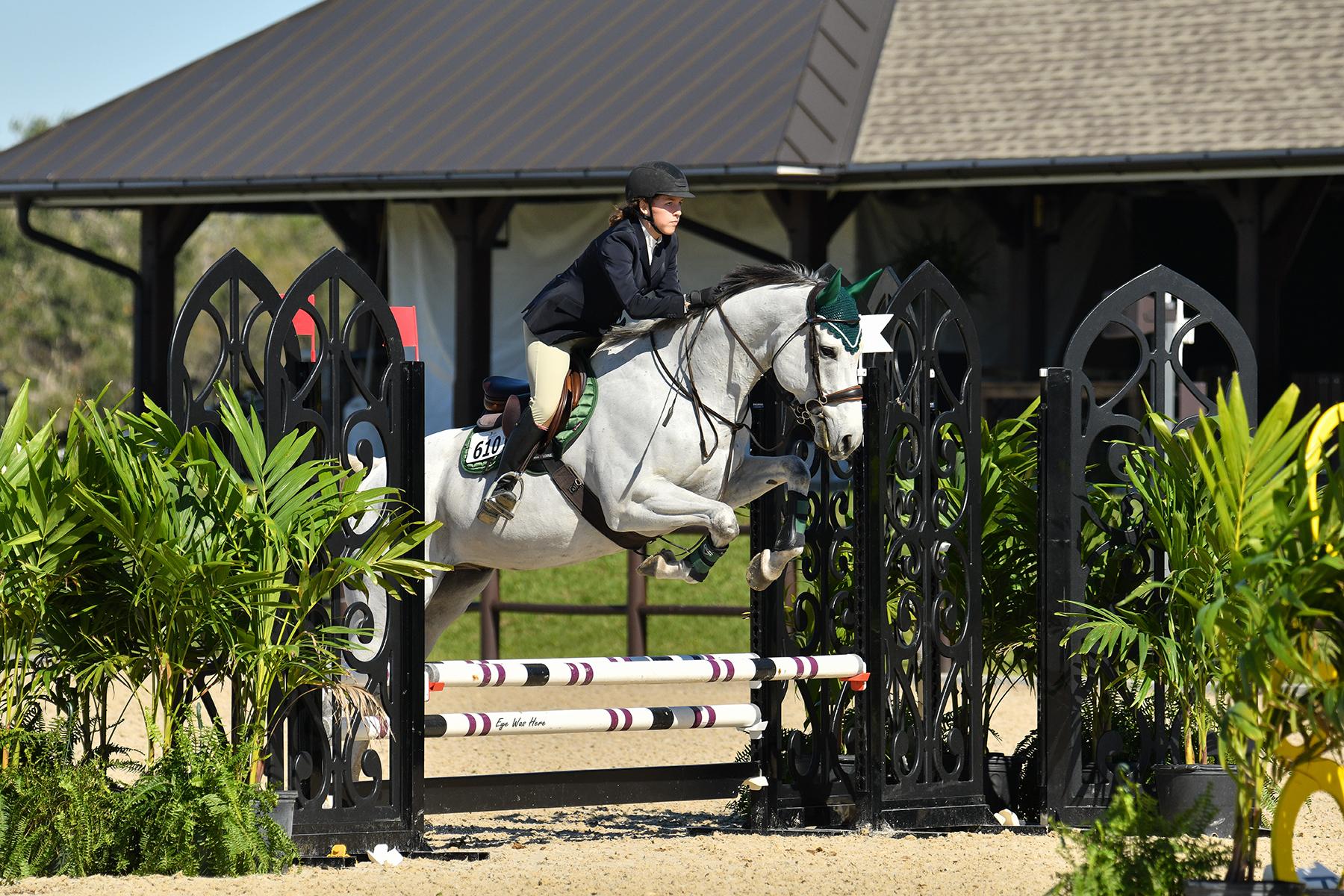 Dapper Gray TB Jumper