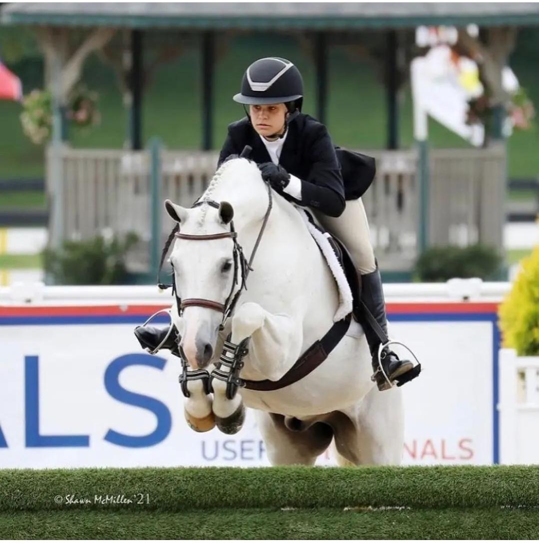 Glendonwyn Prince of Thieves Welsh Pony Jumper