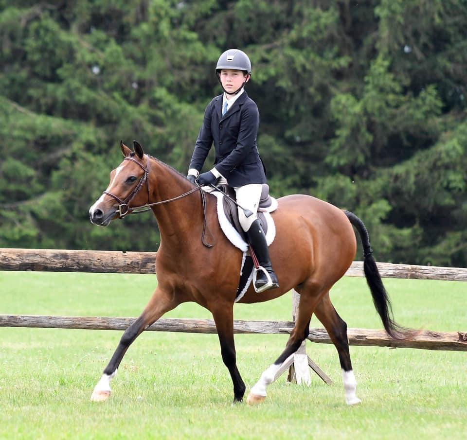 Covenant SomethingRoyal Welsh Cross Hunter
