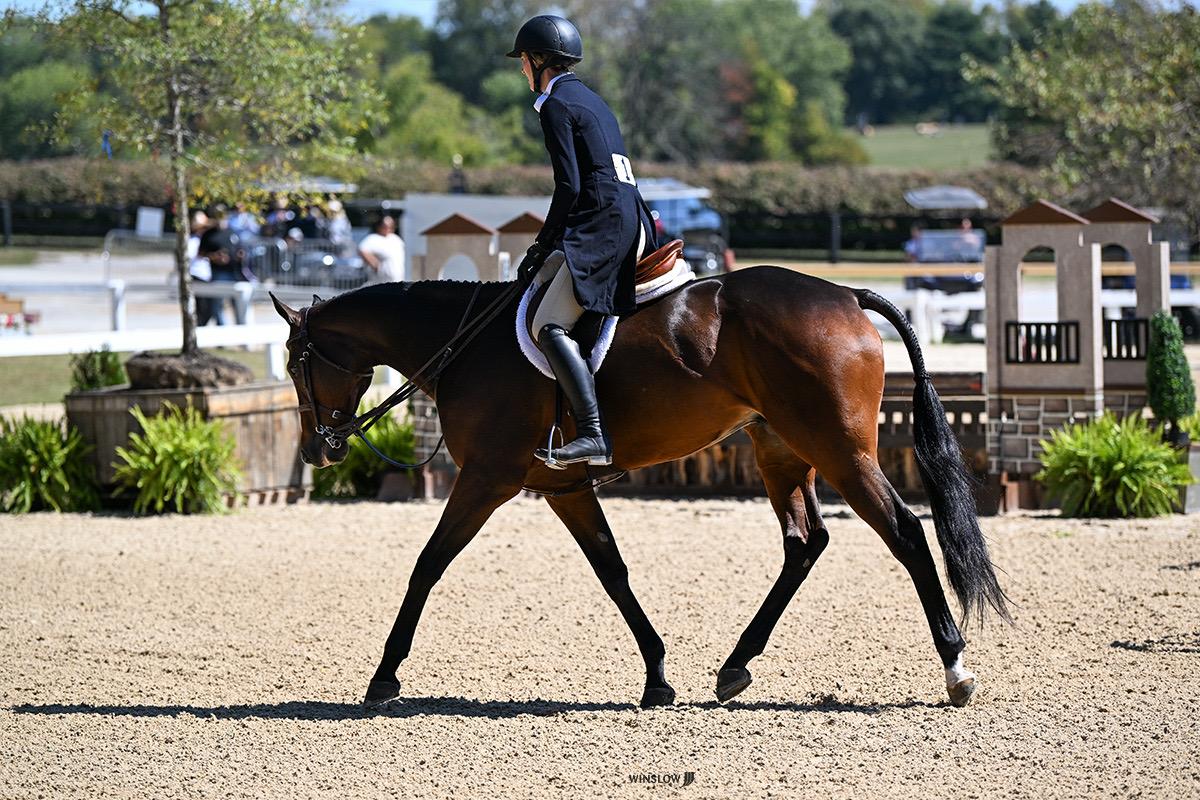 Customized TB Jumper