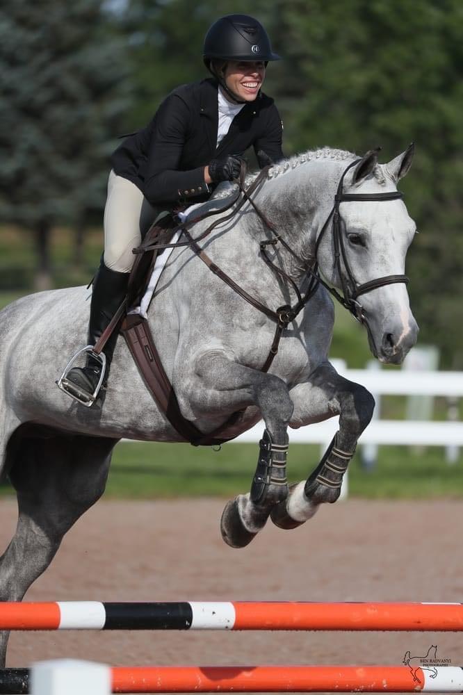 Beaulieu's Center Stage Warmblood Hunter