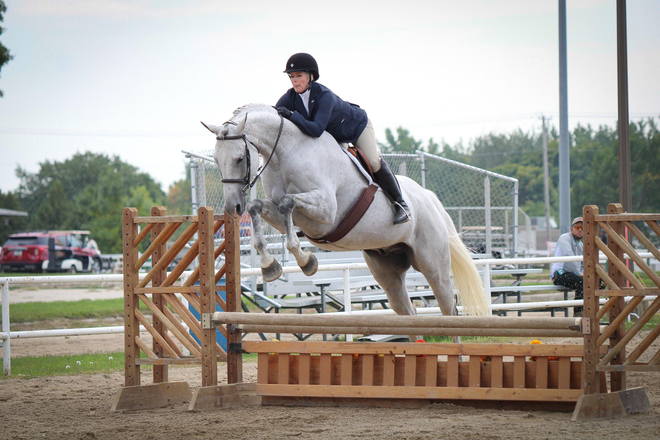 Silver Lining Hanoverian