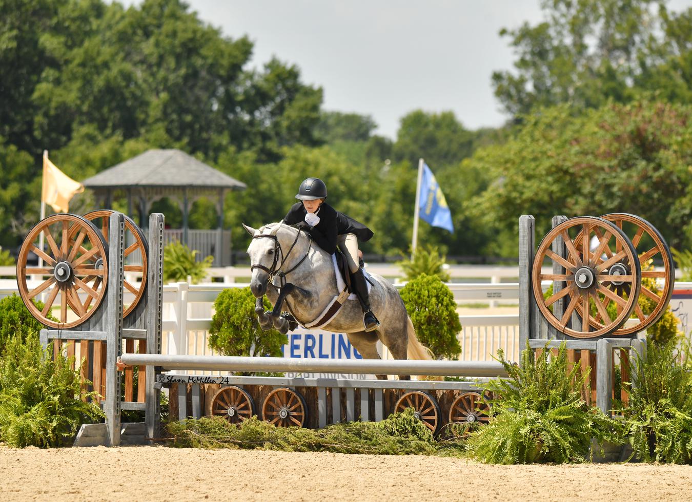 Cherrybrook Bella Vita Welsh Cross