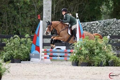 Miracle Welsh Cross Jumper