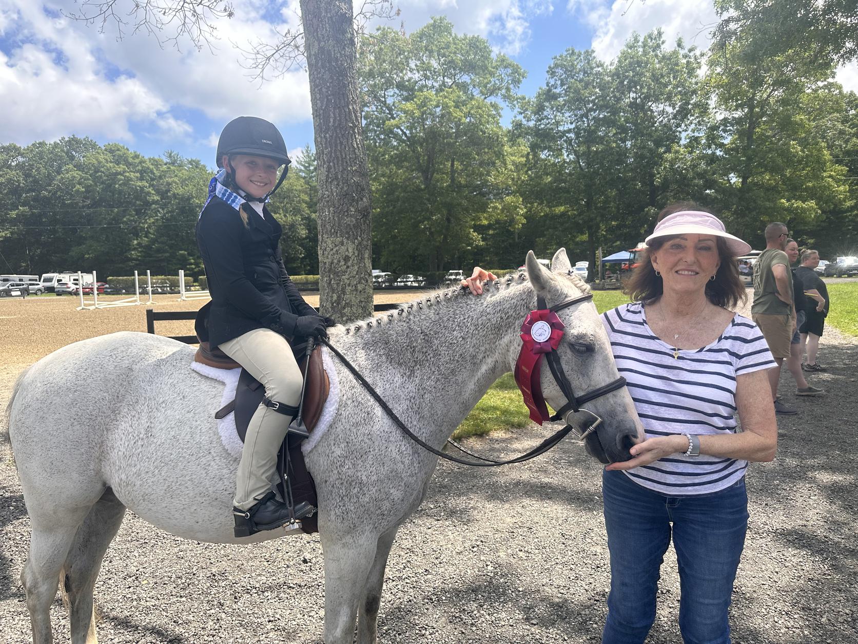 Ever So Slightly Welsh Pony