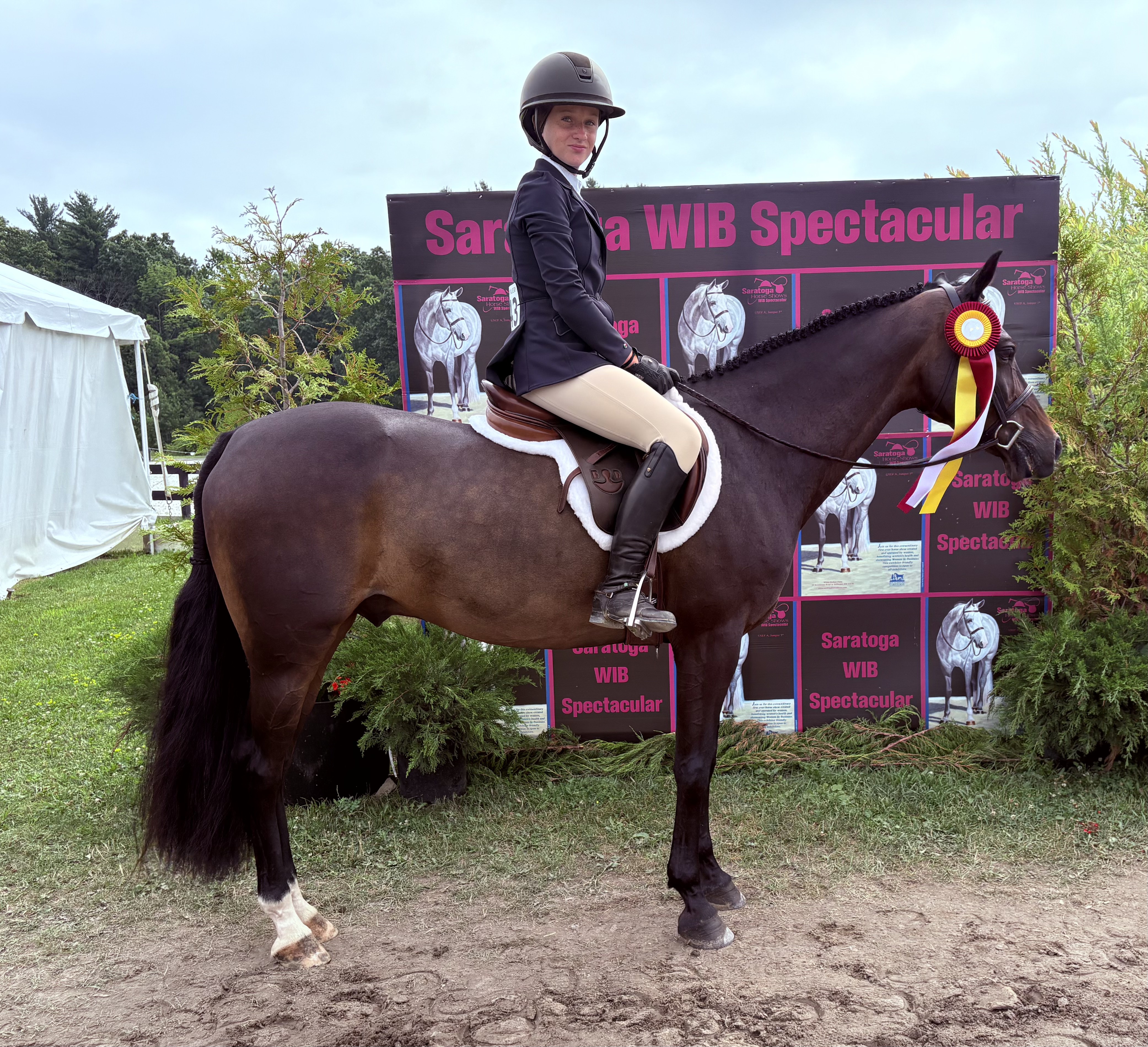 Charmeur Deluxe German Riding Pony Hunter