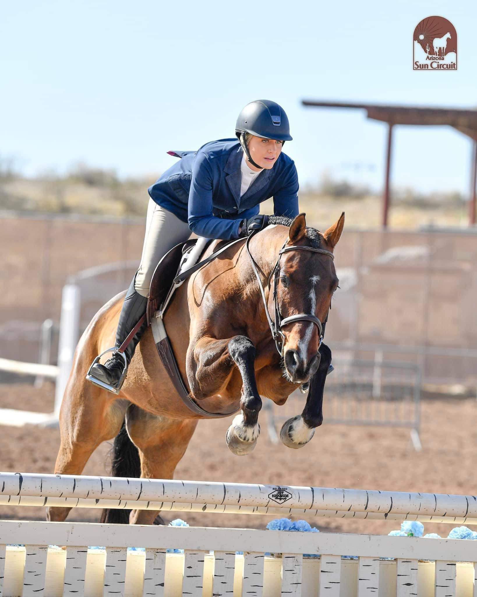 Ohh M Good N Better Quarter Horse Hunter