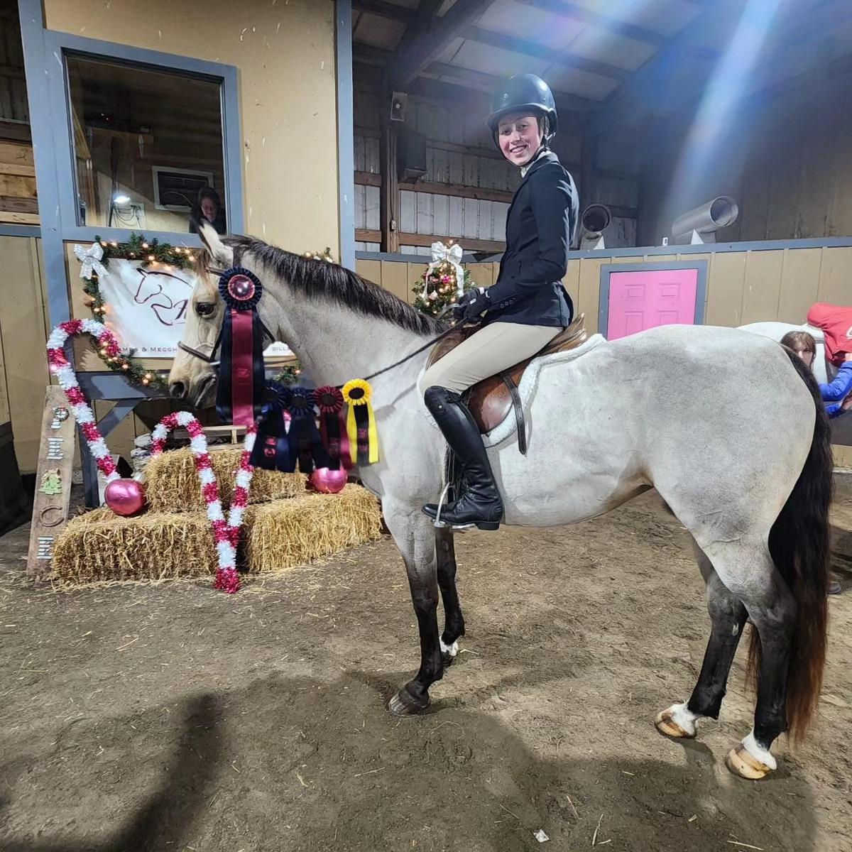 Hollywood Halo Other Breed Hunter