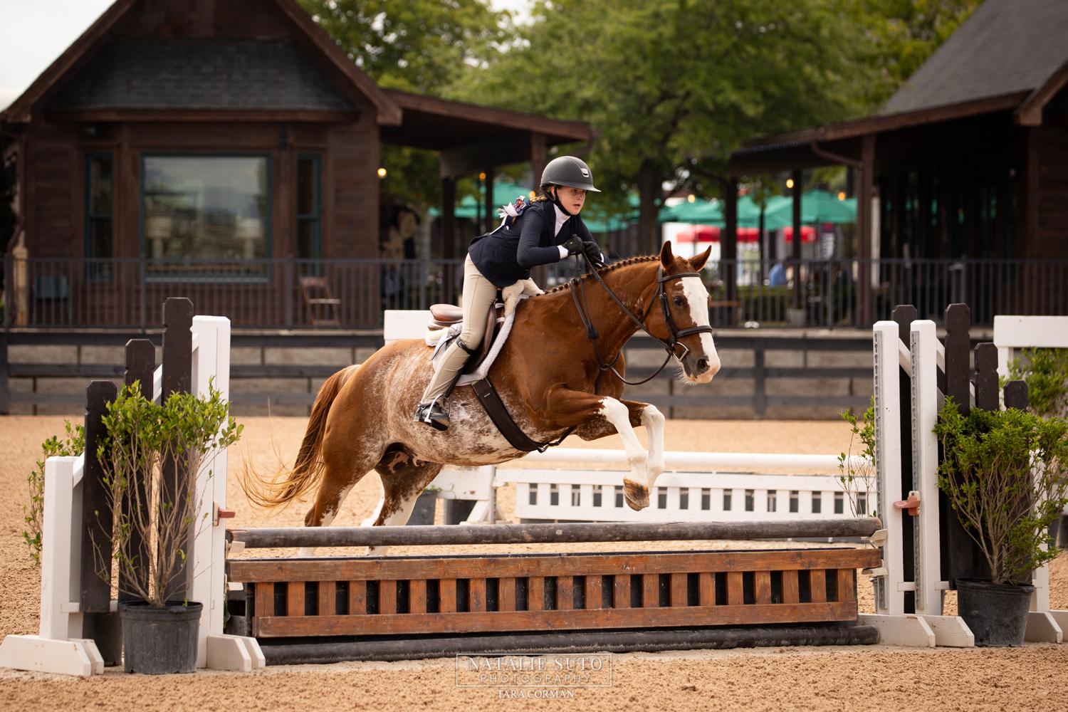 Fox in Sox Quarter Pony Hunter