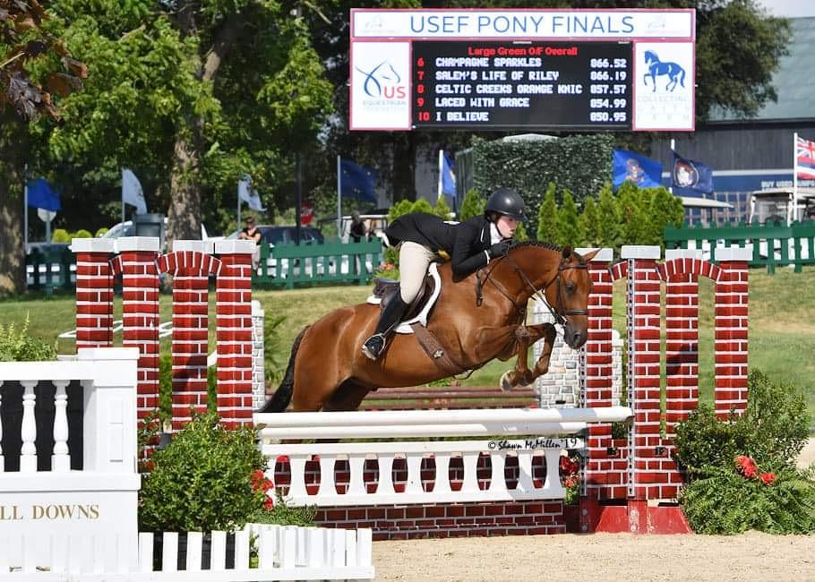 Living Large Quarter Pony Hunter