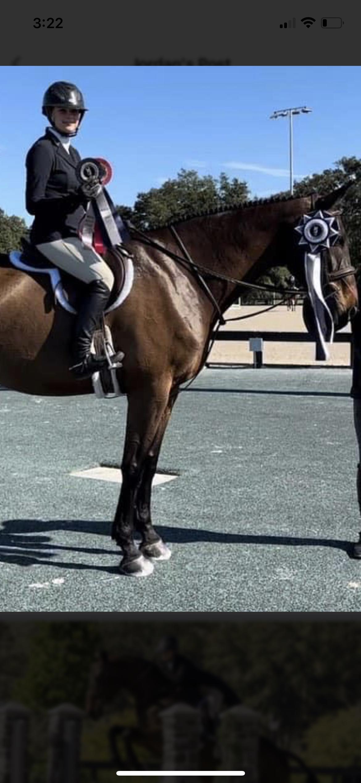 Scertainly Hanoverian Hunter