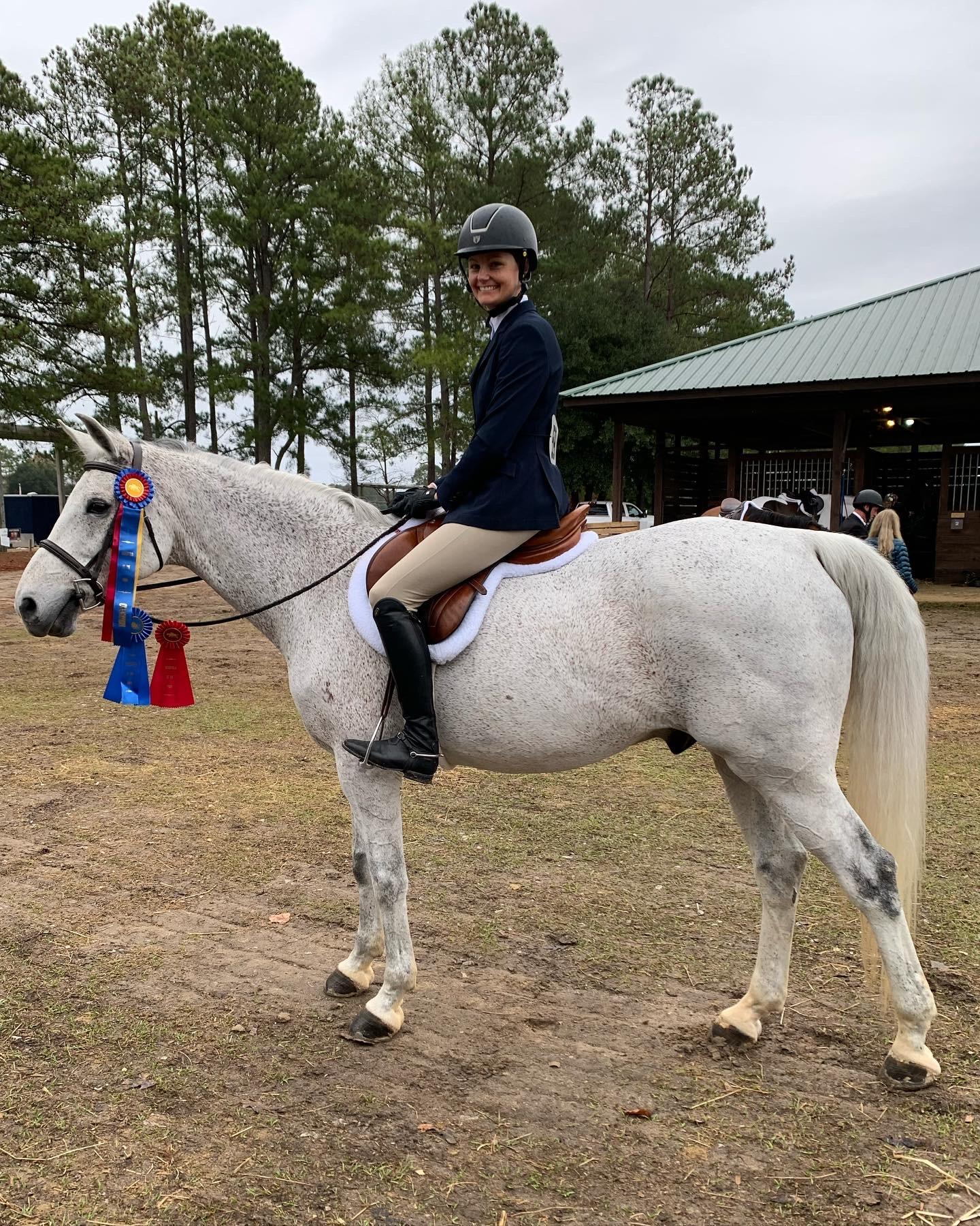 Vivaldi Warmblood Hunter