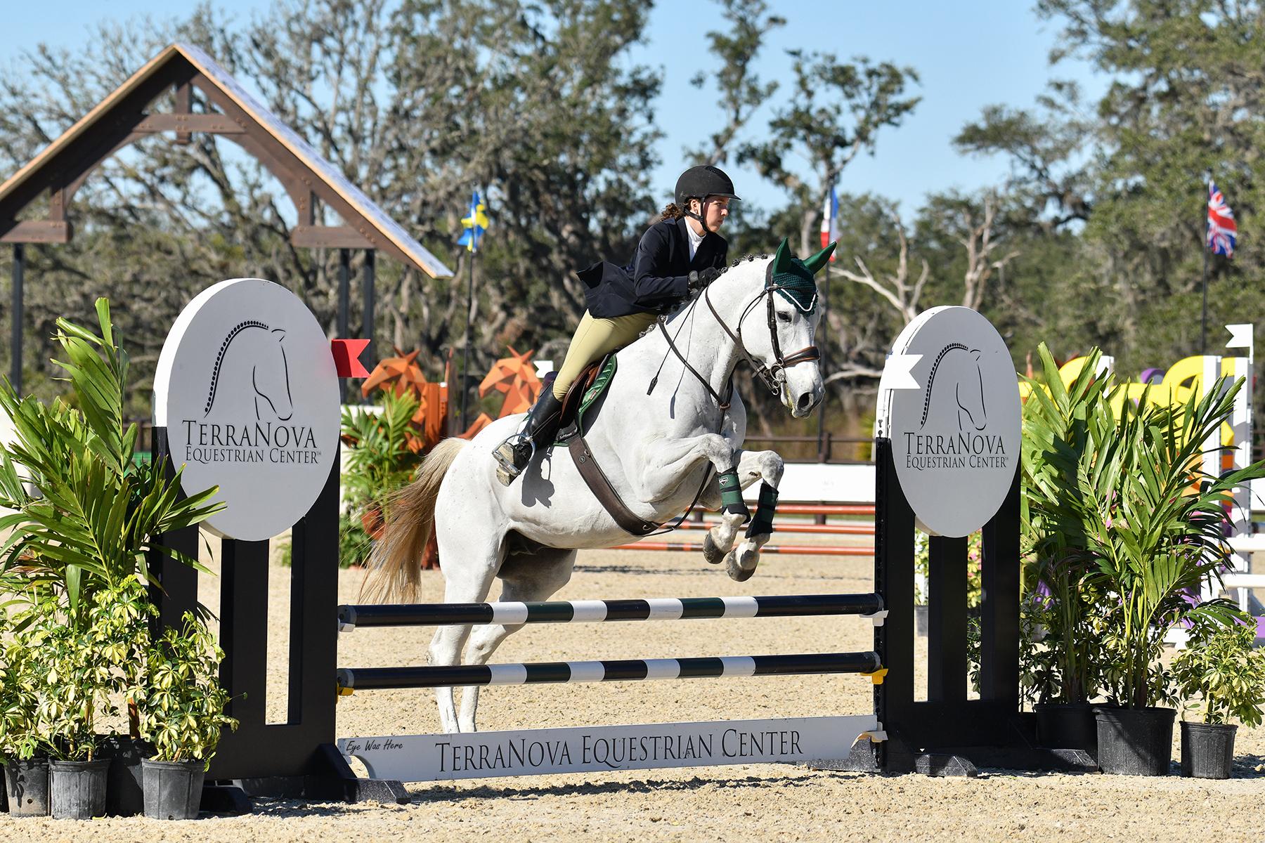 Dapper Gray TB Jumper