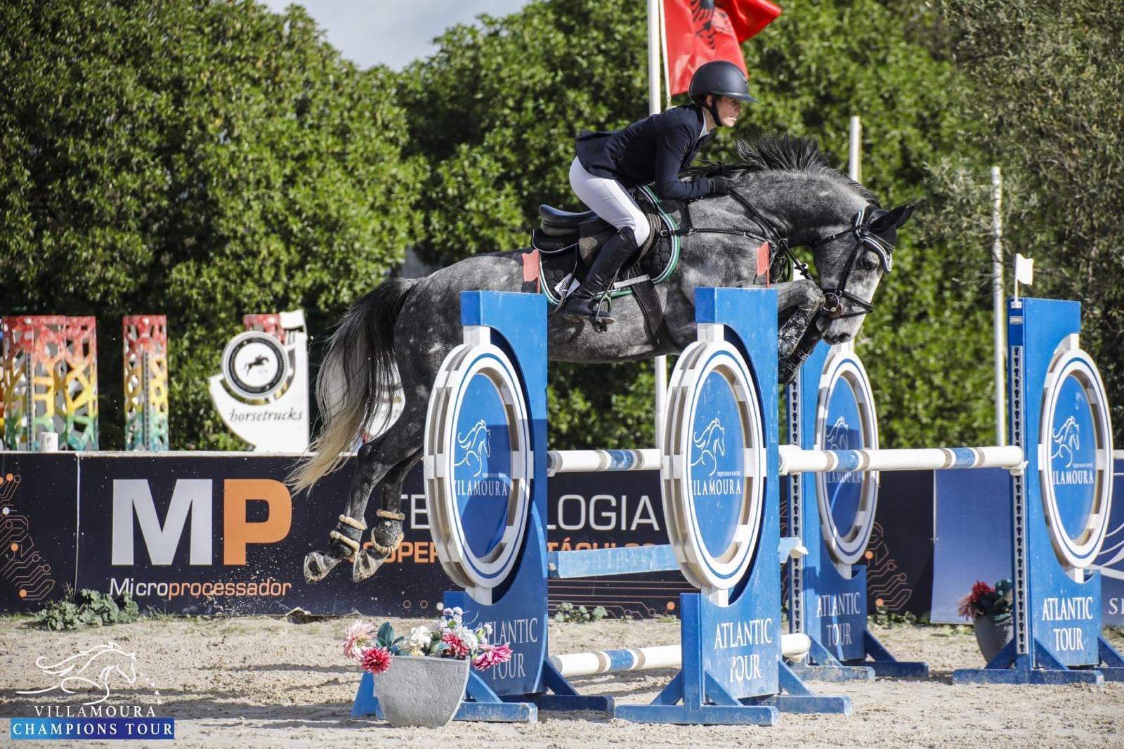 MMR Drumrankin Irish Irish Sport Horse Jumper