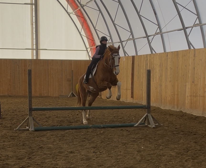 Lyra des Vents Other Breed