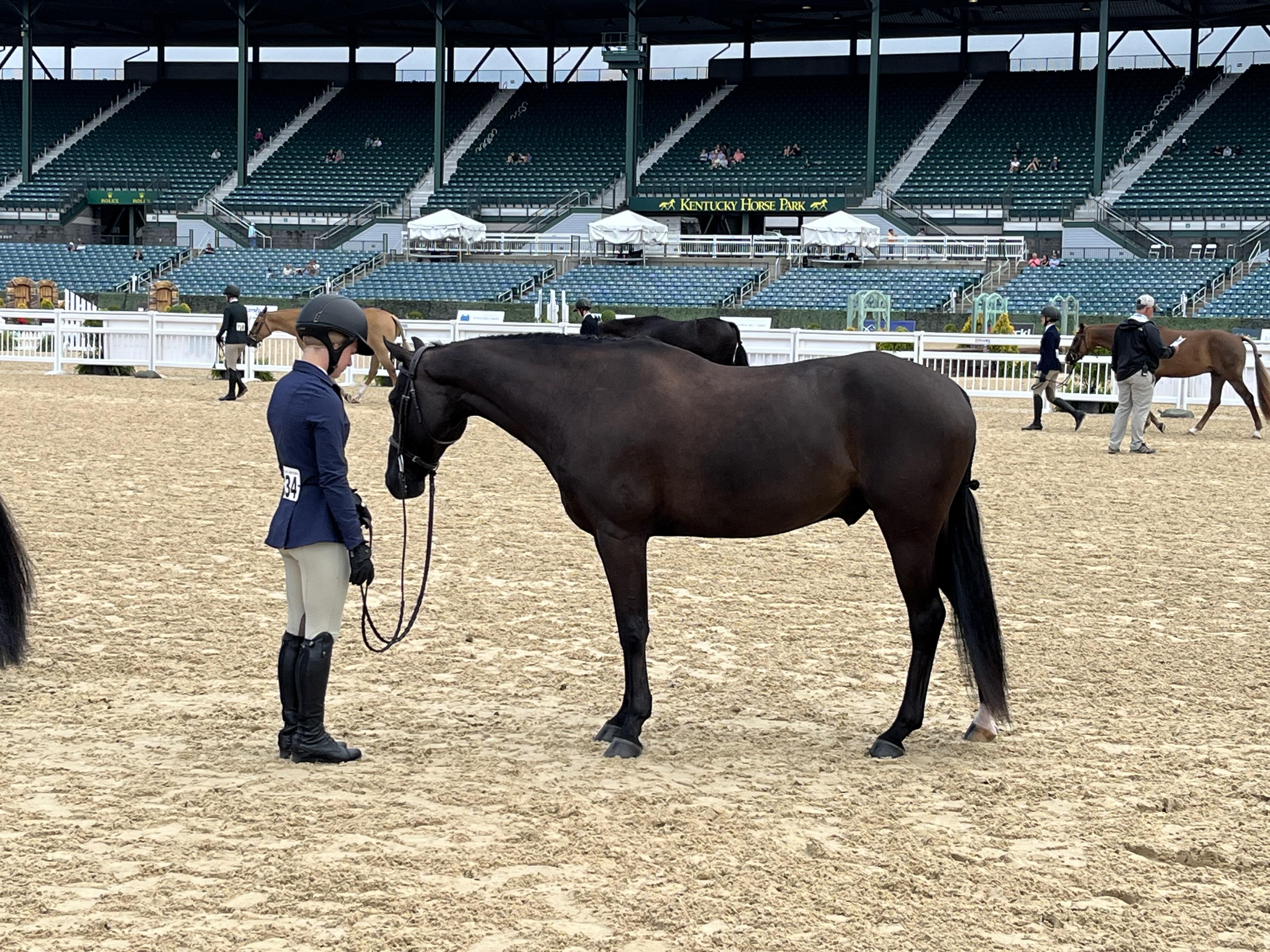 Cherrybrook Blue Magic Welsh Cross