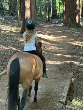 Beaverwoods Round Robin Welsh Cross Hunter