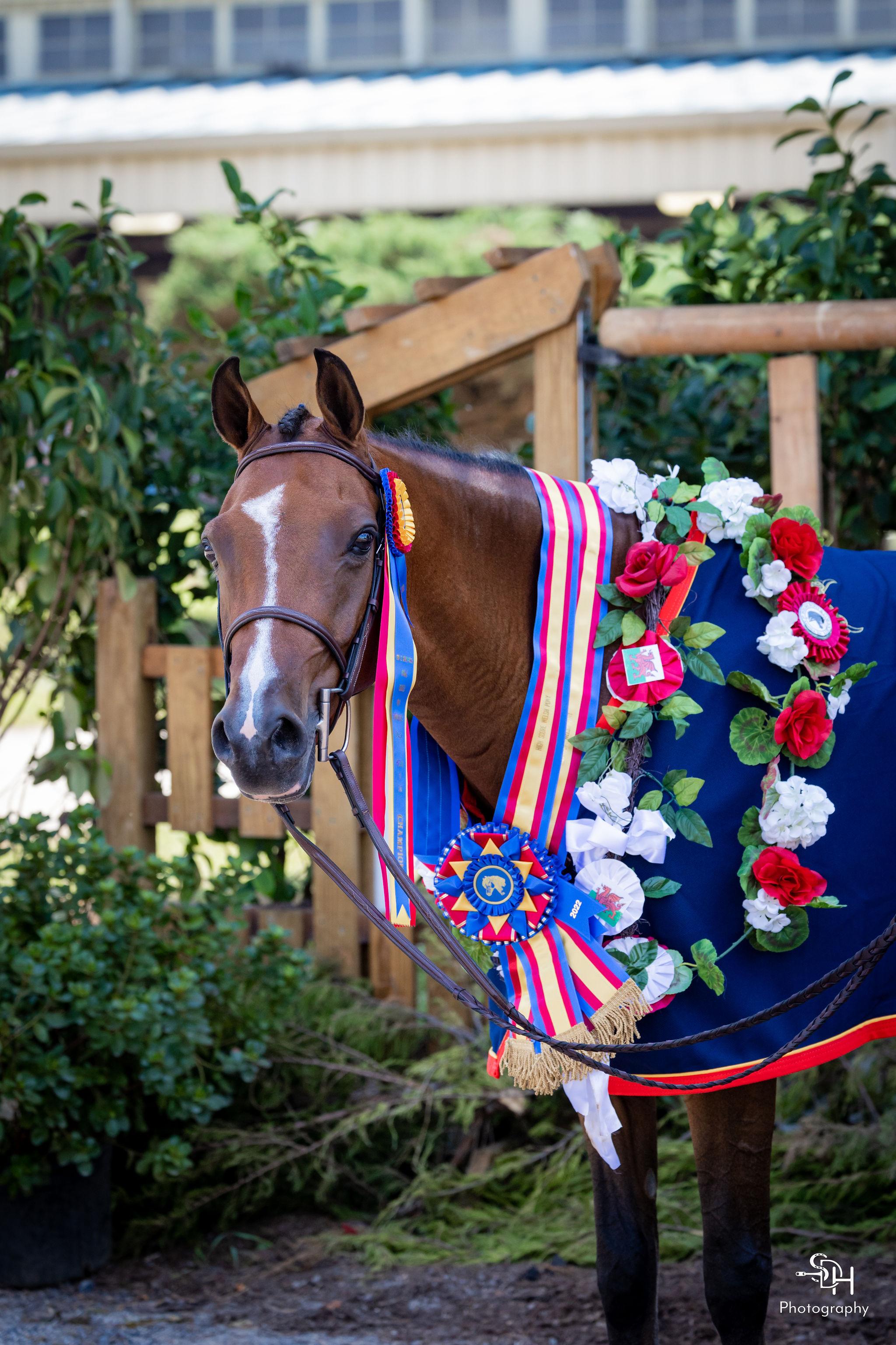 Covenant SomethingRoyal Welsh Cross Hunter