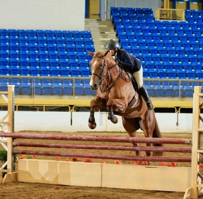 BMQ Legacy of Roses Appendix Equitation