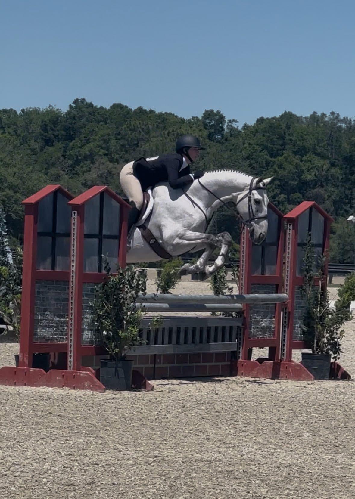 Ultra Confident TB Hunter