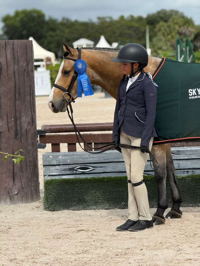 SH Peter Pan Other Breed Hunter