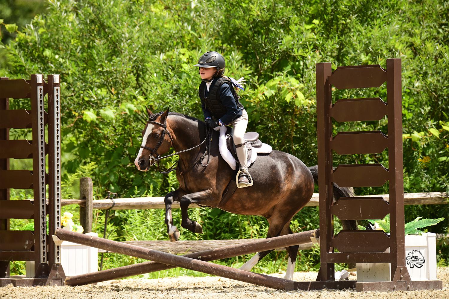 Training Wheels Welsh Cross Hunter