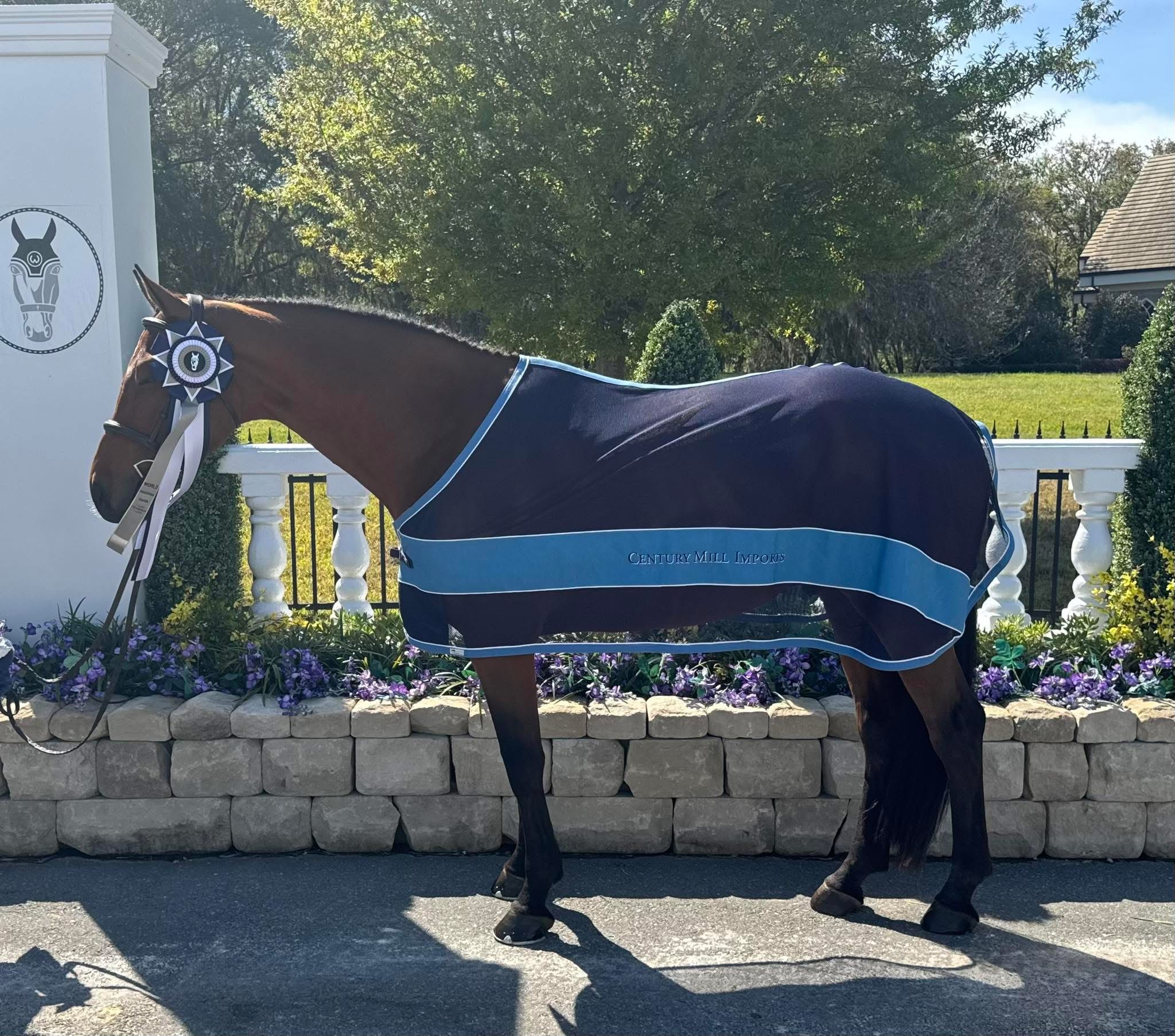 CMS Kenzo Westphalian Hunter