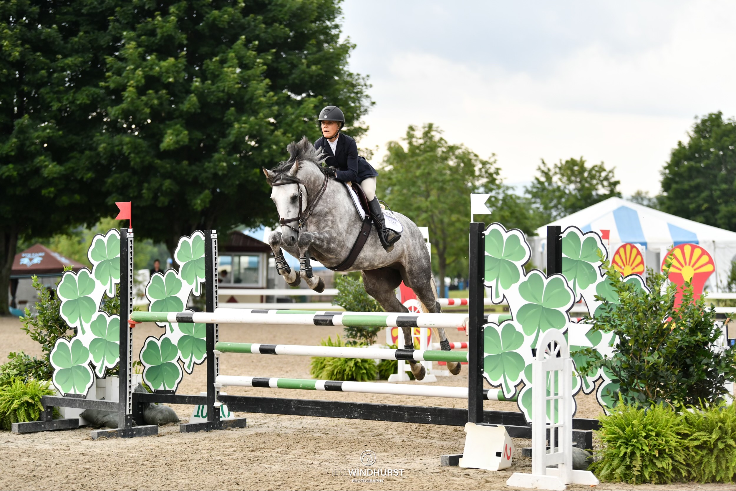 MMR Drumrankin Irish Irish Sport Horse Jumper