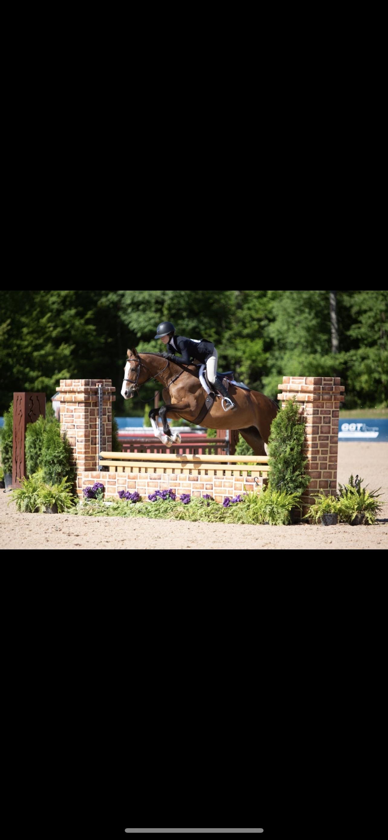 Elora Canadian Sport Horse Hunter