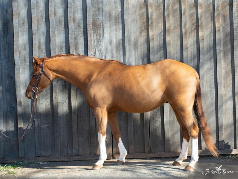 Pep Talk Welsh Cross