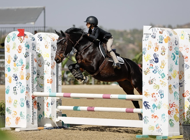 Meadowbrooks Biscotti Welsh Cross