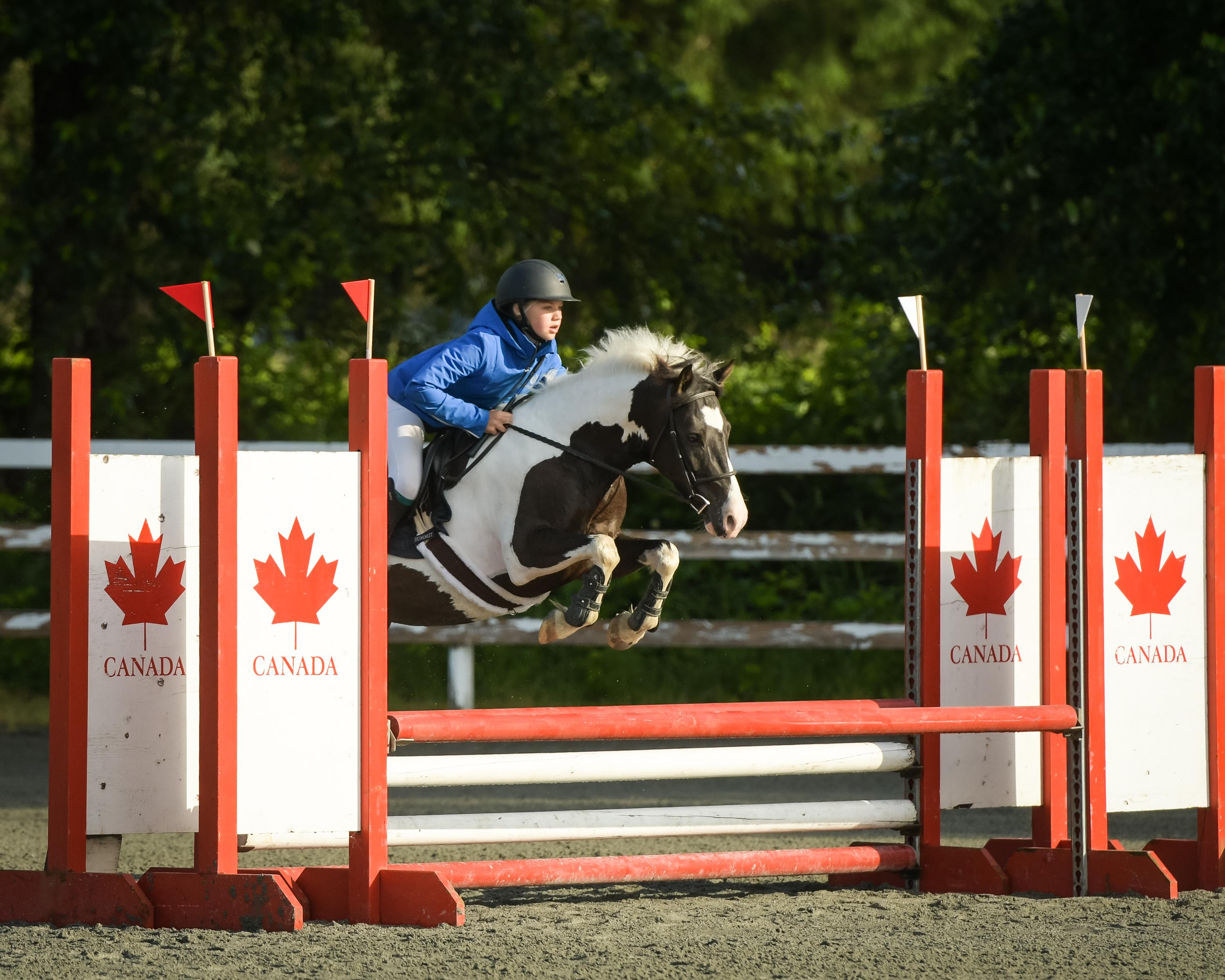 Simon Says Welsh Cross Hunter