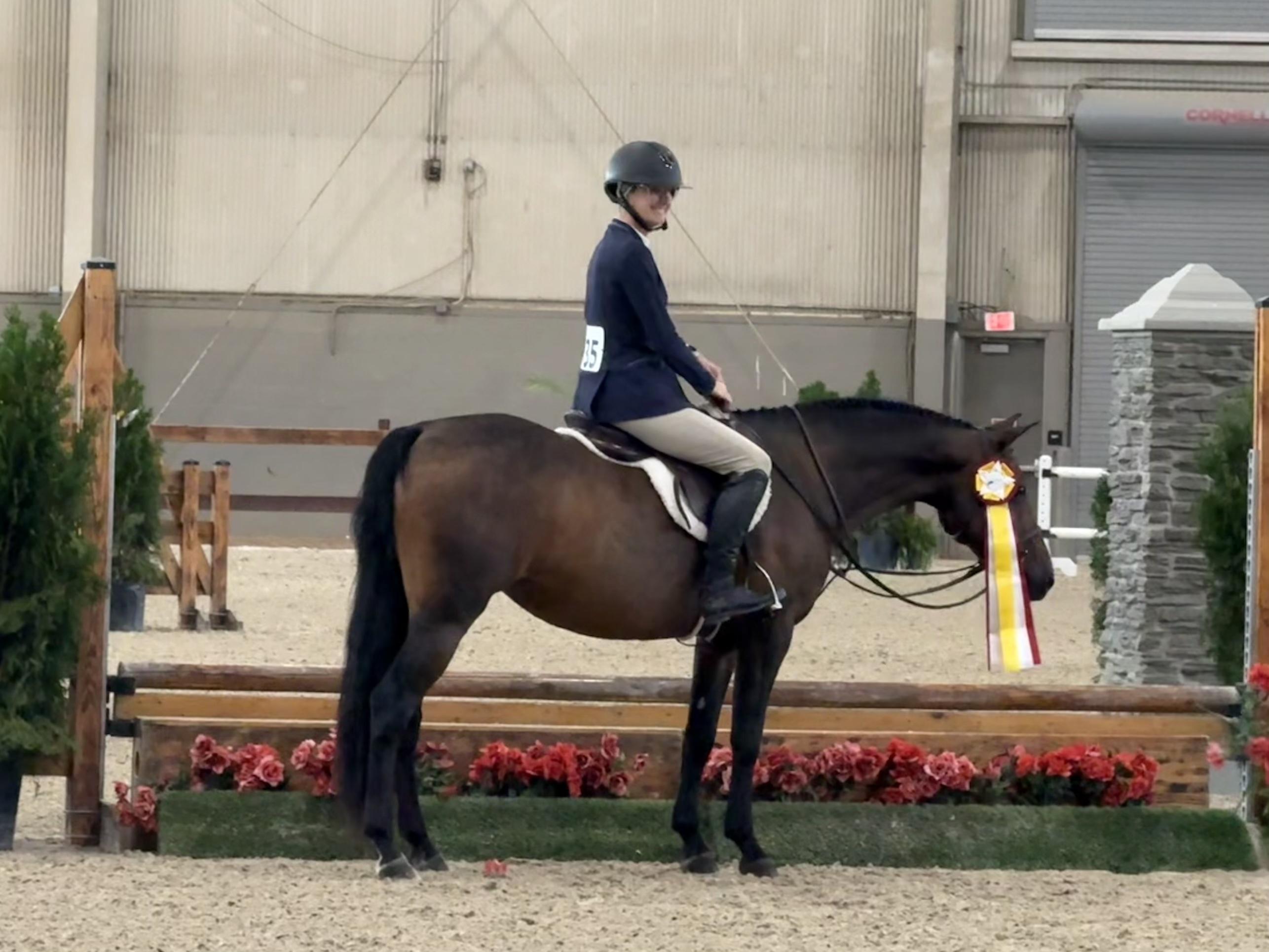 Clovercroft Olive U Welsh Cross