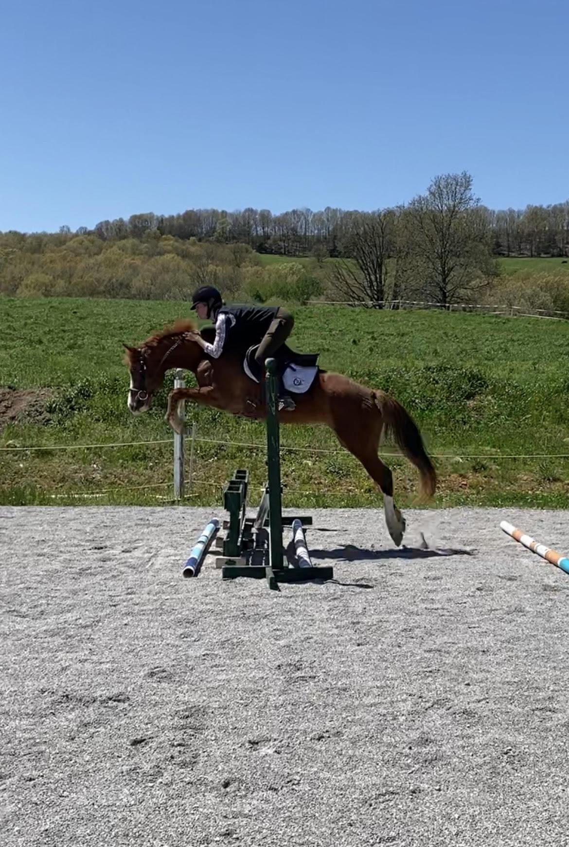 Paizlee Welsh Cross