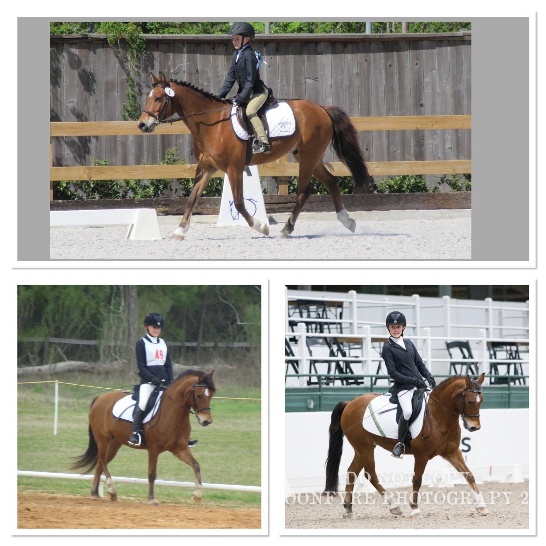 Denali Welsh Cross Jumper