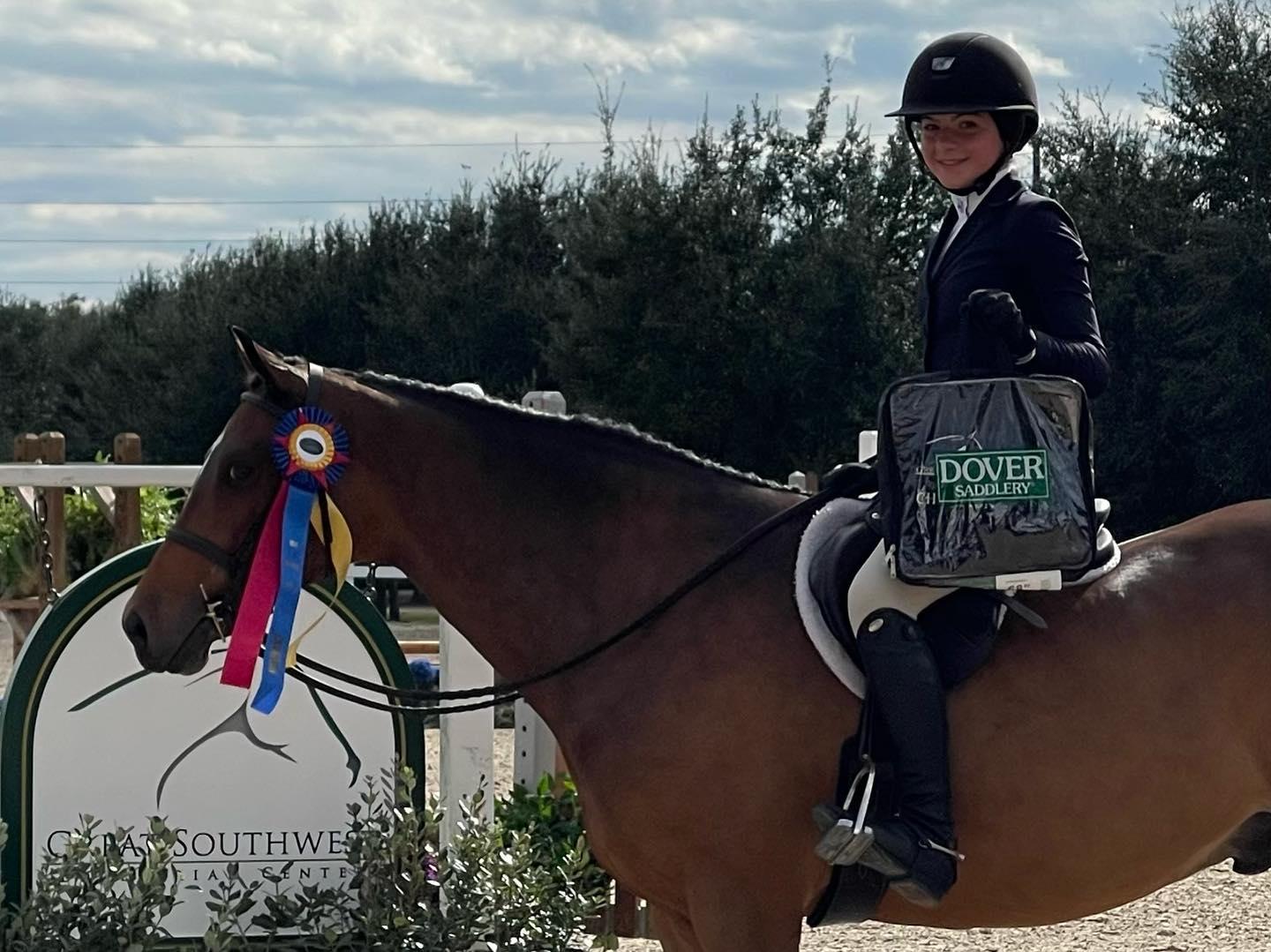 Crownridge Jackson American Sport Pony Hunter