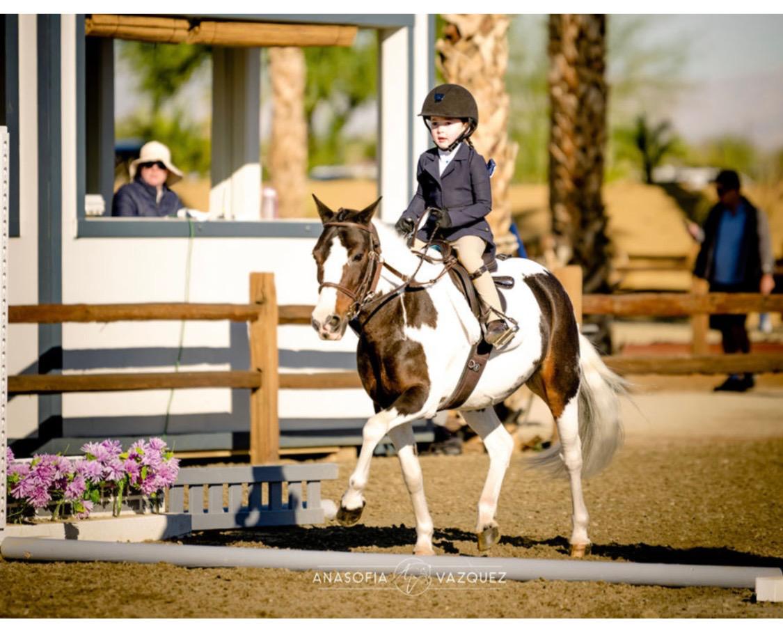 Root Beer Float Paint Hunter